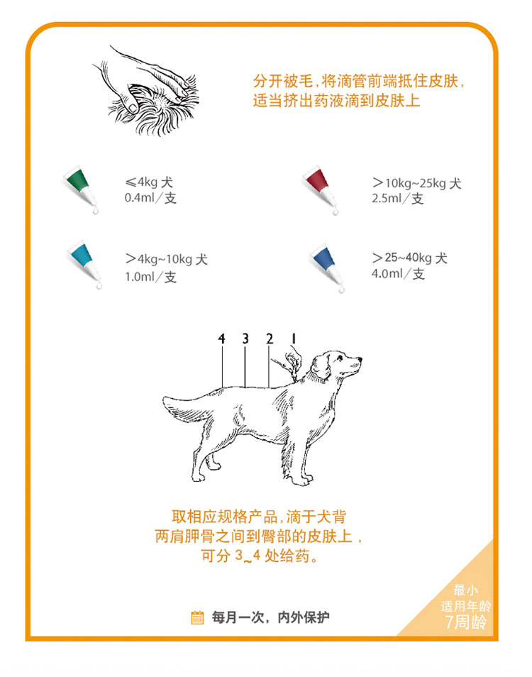 犬4d检查是哪四种,犬四合一检查是什么,4d猫粮是什么意思_大山谷图库